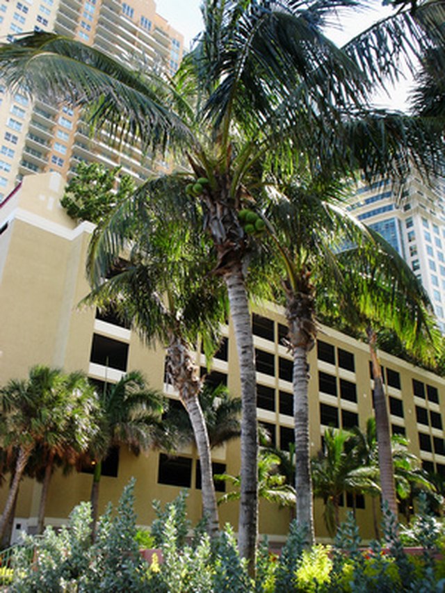 How Much Does a CNA Get Paid in Florida? | Sapling