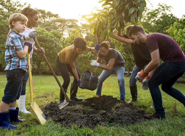 How to Verify 501c3 Status | Sapling