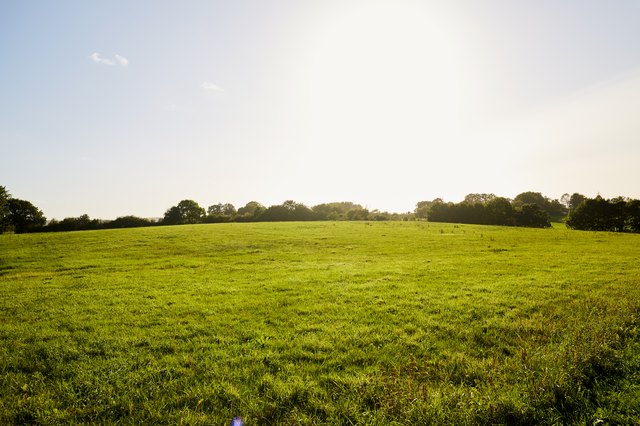 How to Buy Land Owned by the Government | Sapling