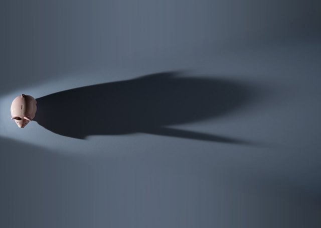 Why You Need to Care About Shadow Inflation | Sapling