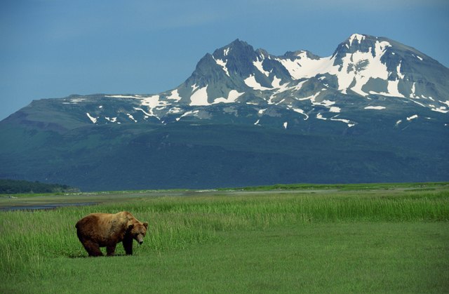 How to Buy Land on the Alaska Frontier | Sapling