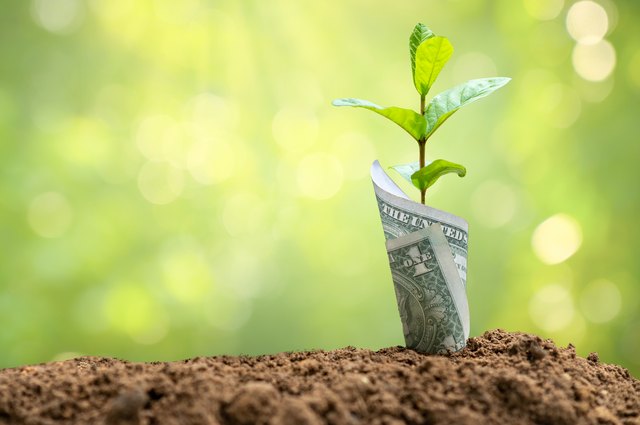 Where Can You Get Seed Money for Your Start-Up? | Sapling